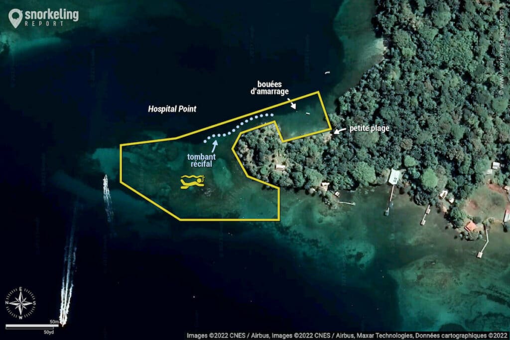 Snorkeling à Hospital Point (Punta Hospital), Bocas del Toror | Panama