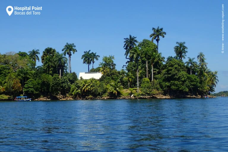 Snorkeling at Hospital Point (Punta Hospital), Bocas del Toro ...